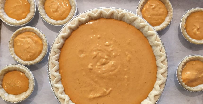 The One Spatula That Needs To Be In Your Kitchen – Spatty®